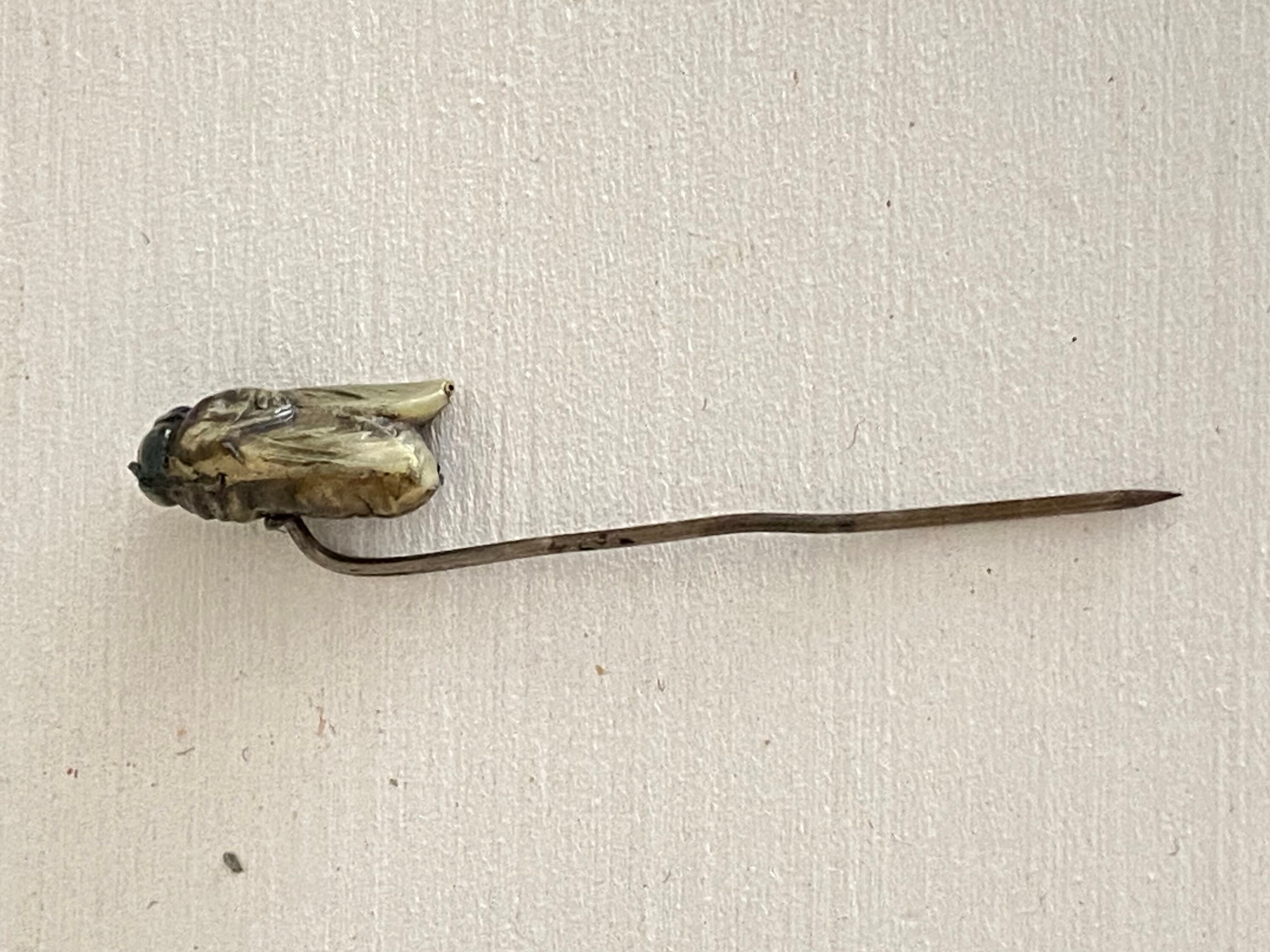 Vintage 50s/40s Life Size Realistic Fly Hat Lapel Pin Celluloid Carved ...