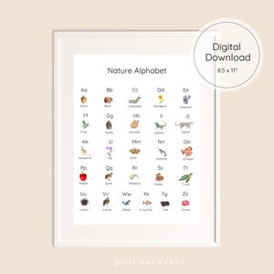 Nature Alphabet Poster: Montessori Homeschool Printable (digital ...