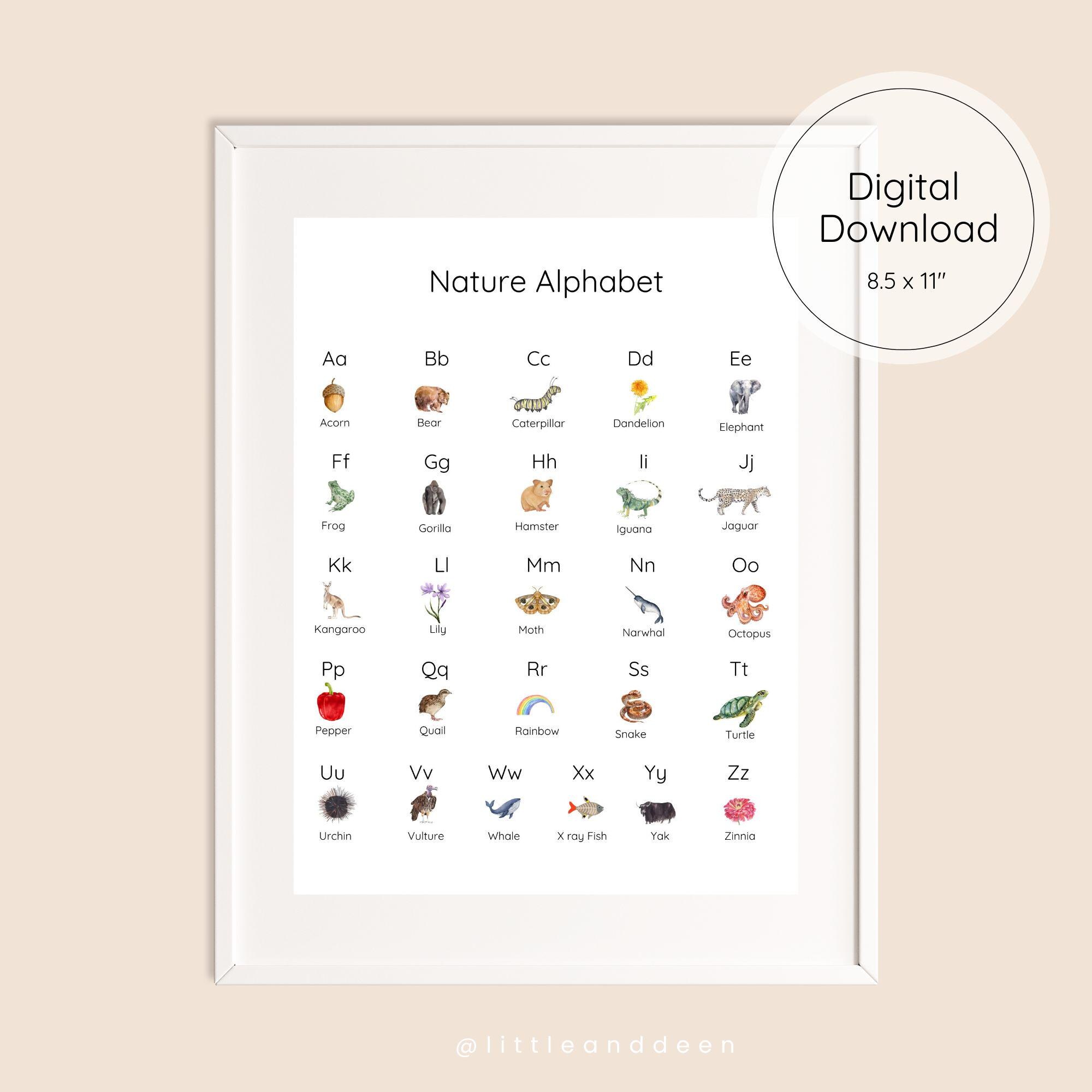 Nature Alphabet Poster: Montessori Homeschool Printable (digital ...