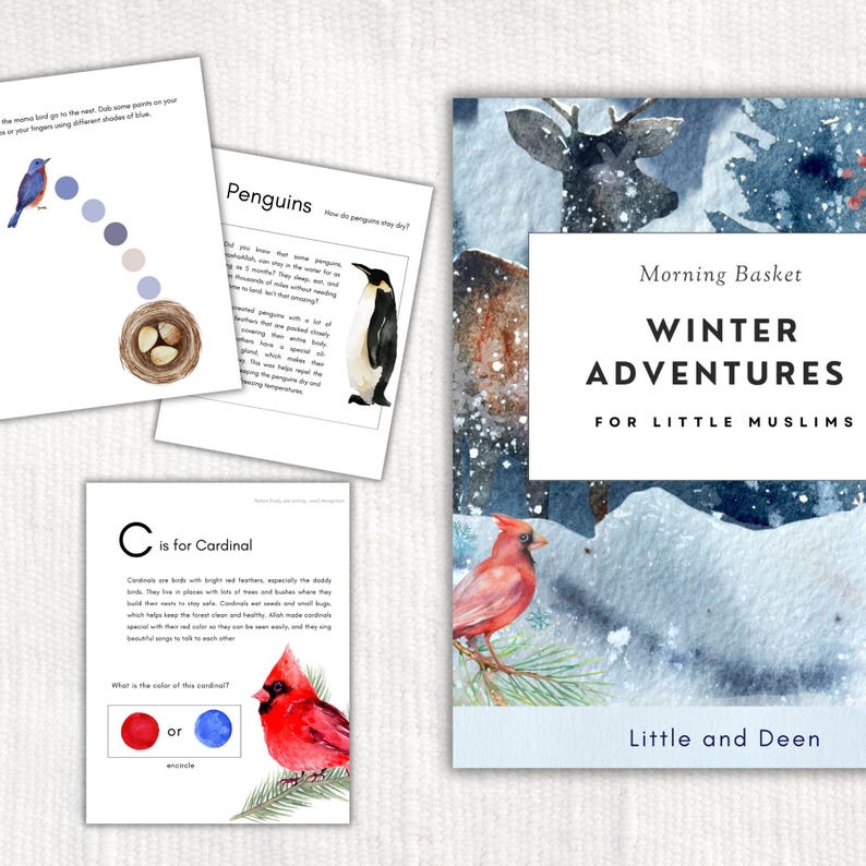 Winter Adventures Activity Workbook: Muslim Homeschool, Arabic Alphabet ...