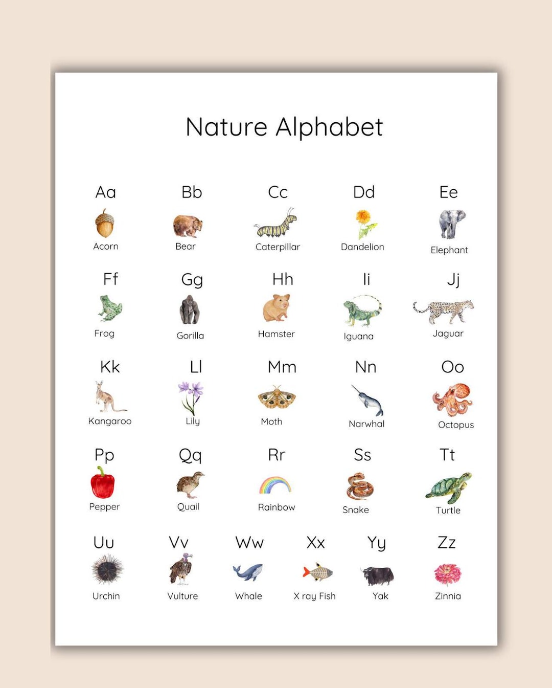 Nature Alphabet Poster Early Childhood Learning Poster Preschool ...