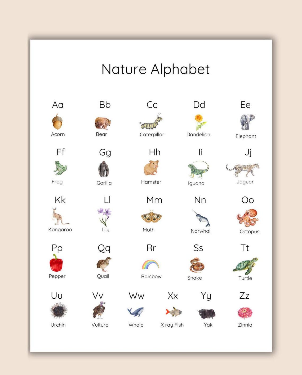 Nature Alphabet Poster: Montessori Homeschool Printable (digital ...