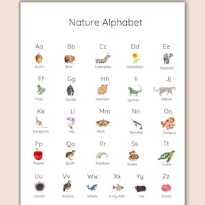 Nature Alphabet Poster: Montessori Homeschool Printable (digital ...