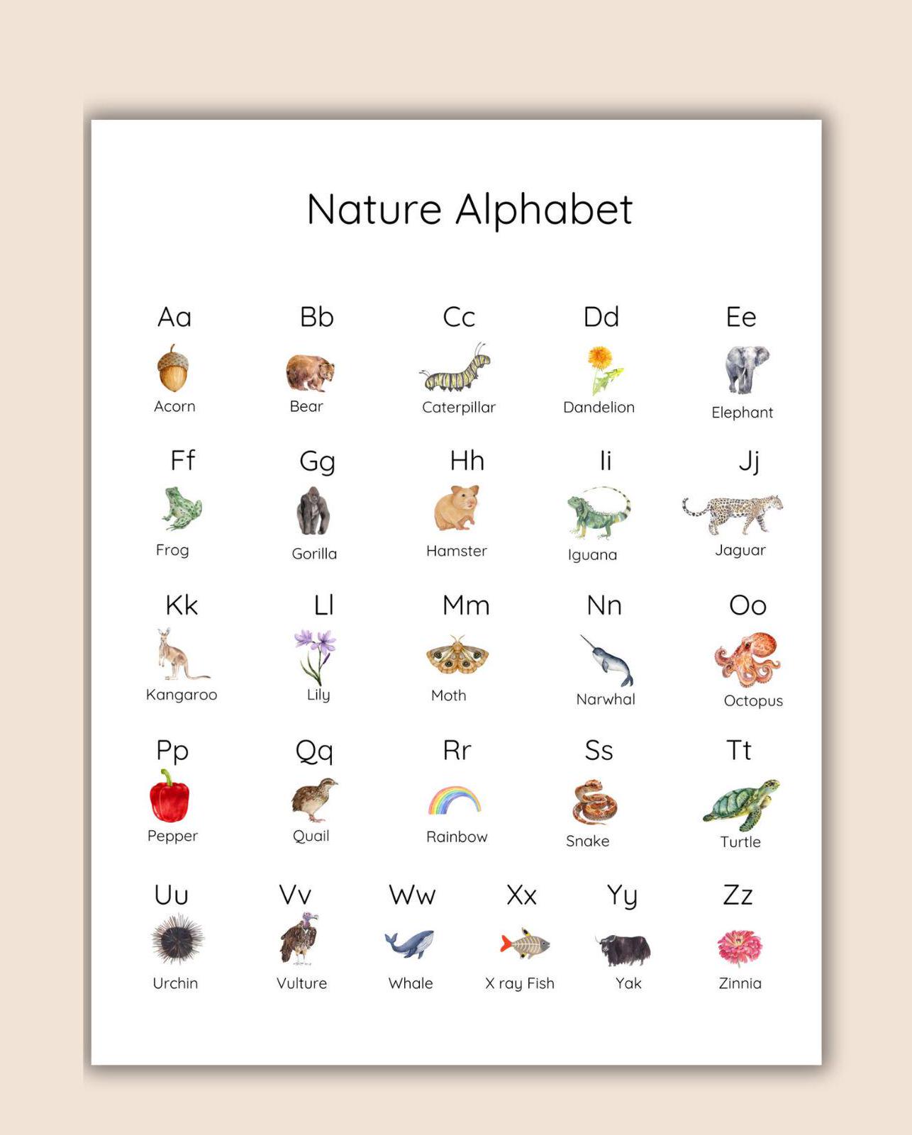 Nature Alphabet Poster: Montessori Homeschool Printable (digital ...