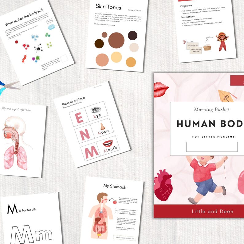 Islamic Human Body Workbook: Muslim Homeschool Anatomy (digital ...