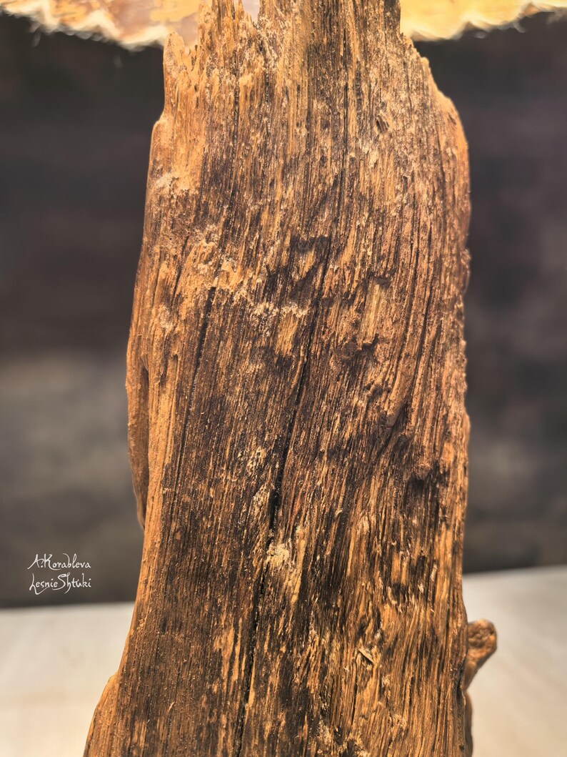 Rustic Driftwood Table Lamps "affinity" Handcrafted Natural Wood ...