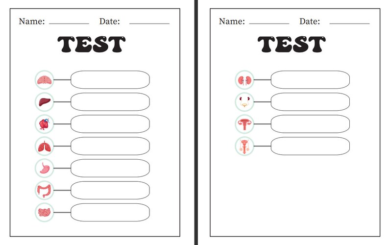 Anatomy Human Organs Body Coloring, Educational Coloring Book, Anatomy ...