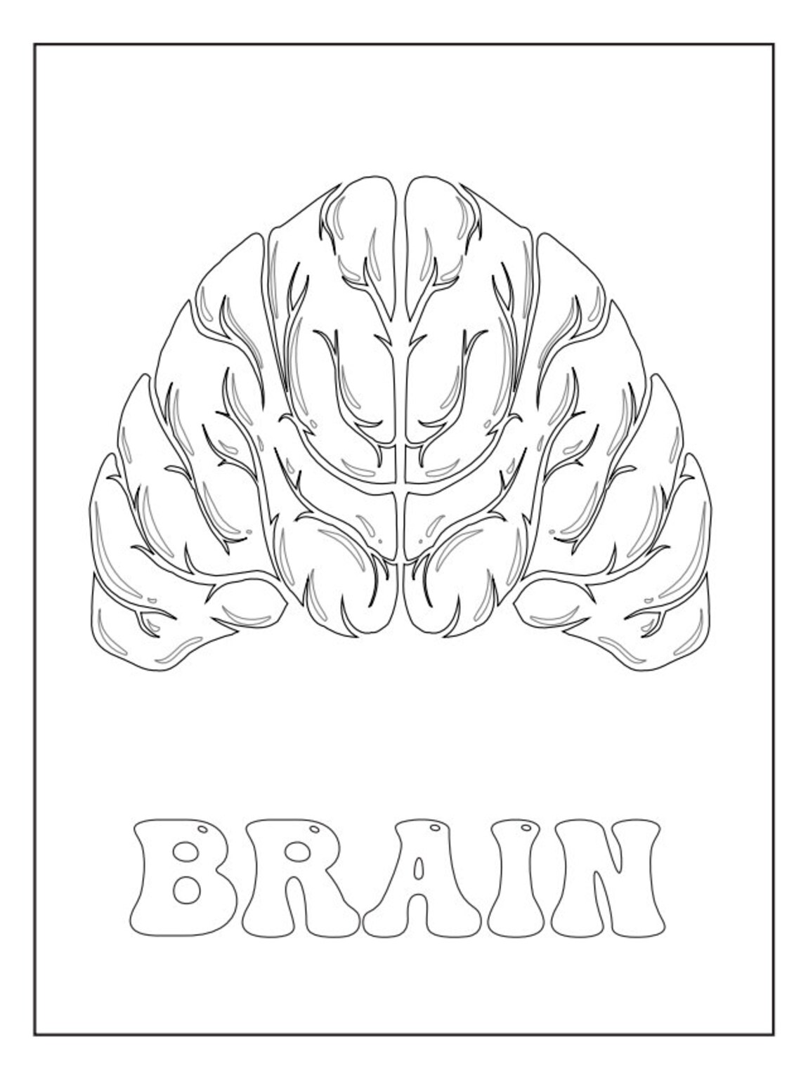 Anatomy Human Organs Body Coloring, Educational Coloring Book, Anatomy ...