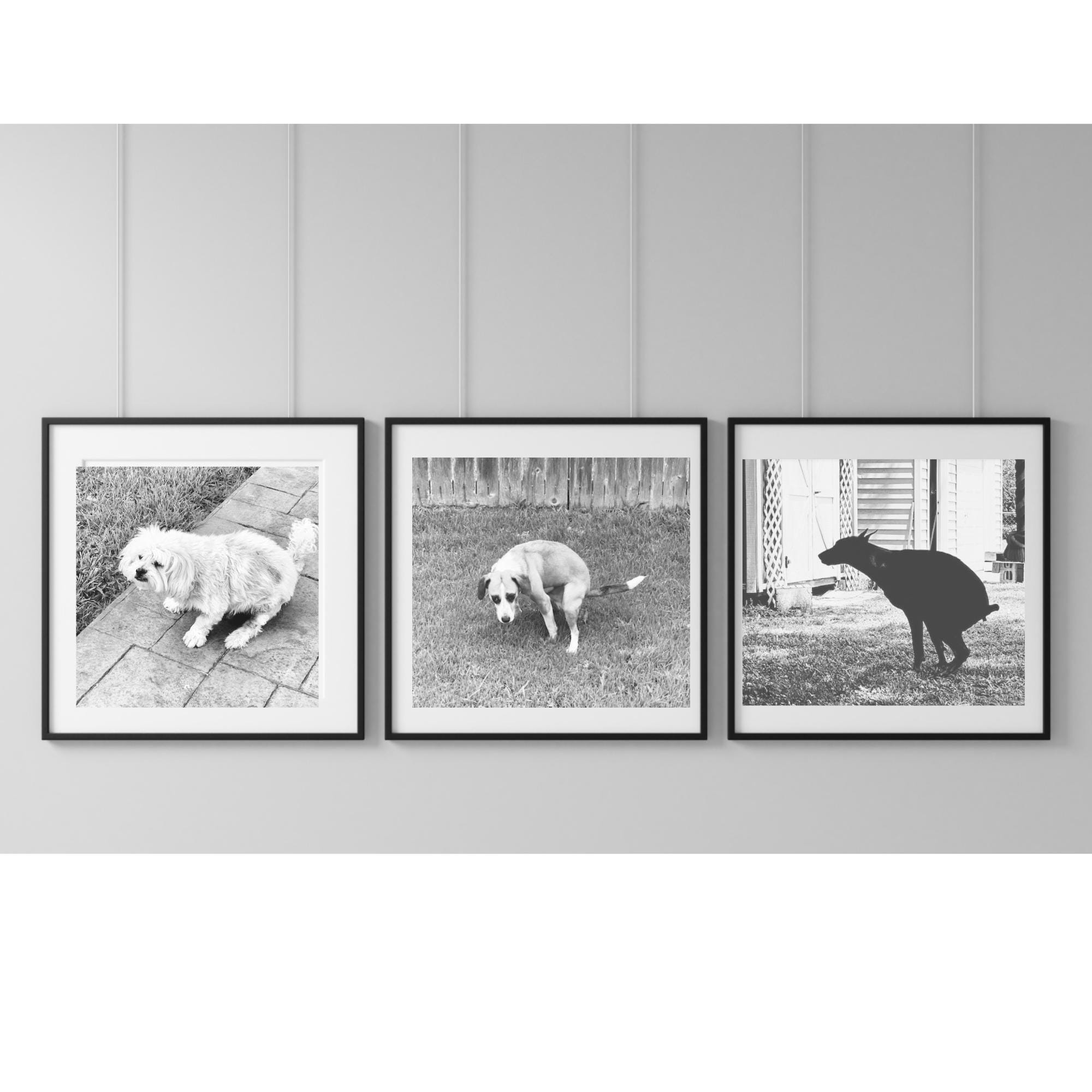 Funny Bathroom Dog Print, Wall Art for Bathroom, Set of Four Prints ...