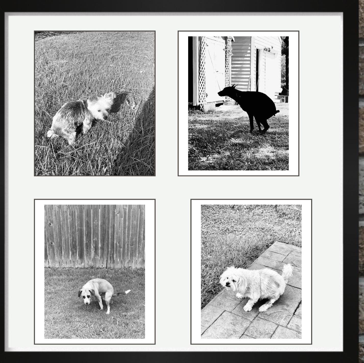 Funny Bathroom Dog Print, Wall Art for Bathroom, Set of Four Prints ...