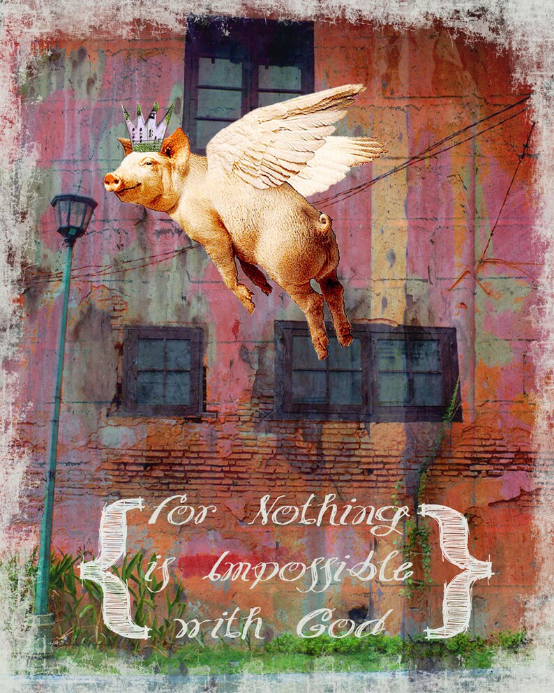 Pig Photo Collage Art Poster Printflying Pig Artchritian - Etsy