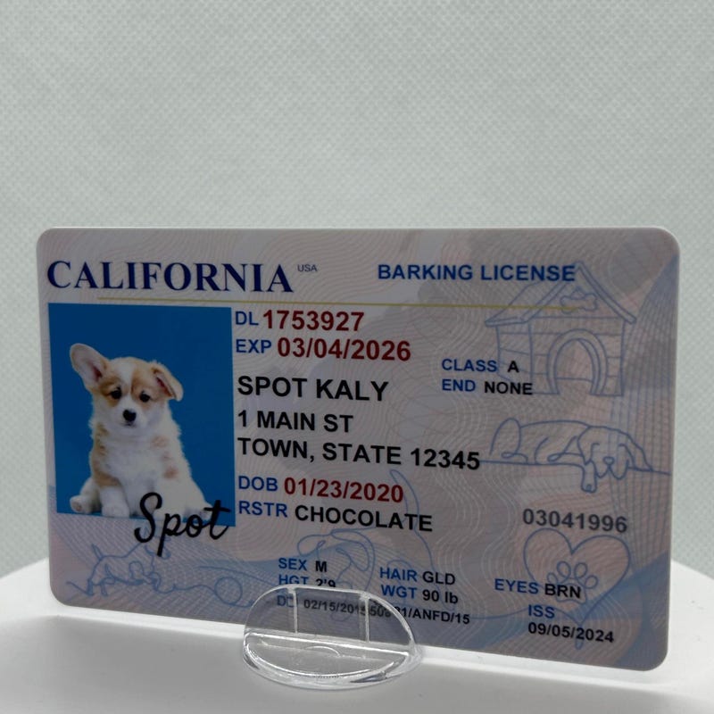 Dog Driver License - Etsy