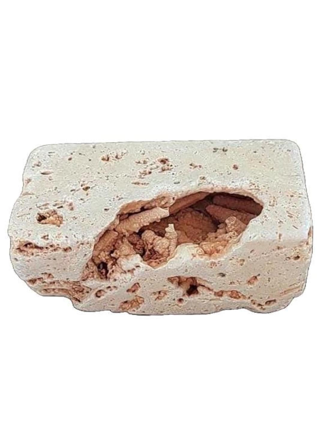 Rare Denizli Travertine Fossil Specimen – 279g, Tube Worm Fossils ...