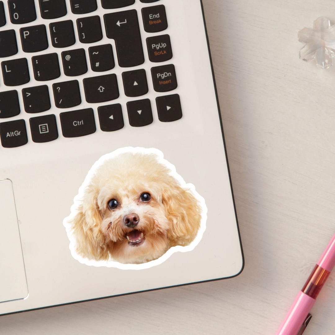 Stickers Custom Dog Face Personalized Pet Photo Stickers Custom Cat ...