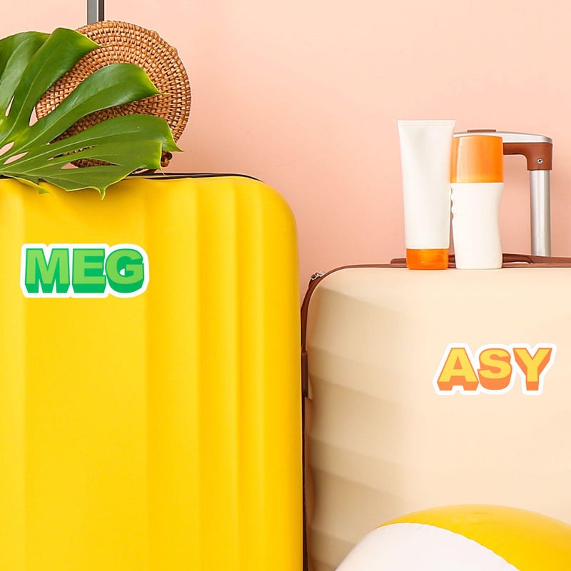 Luggage Decals - Etsy