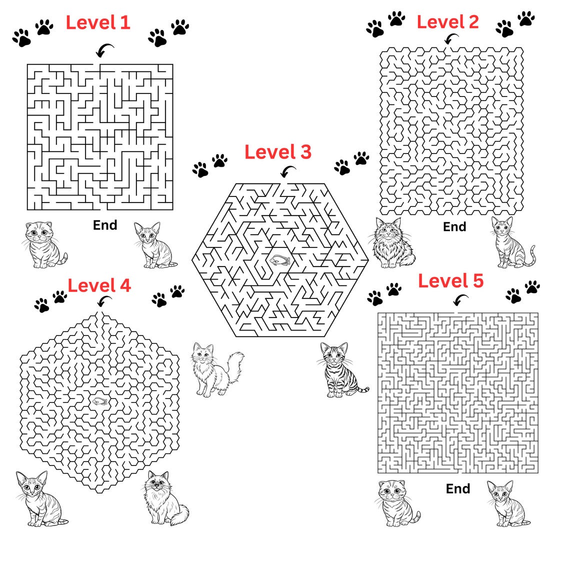 20 Breeds of Cute Cat Coloring Pages, Cat Coloring Pages for Kids ...