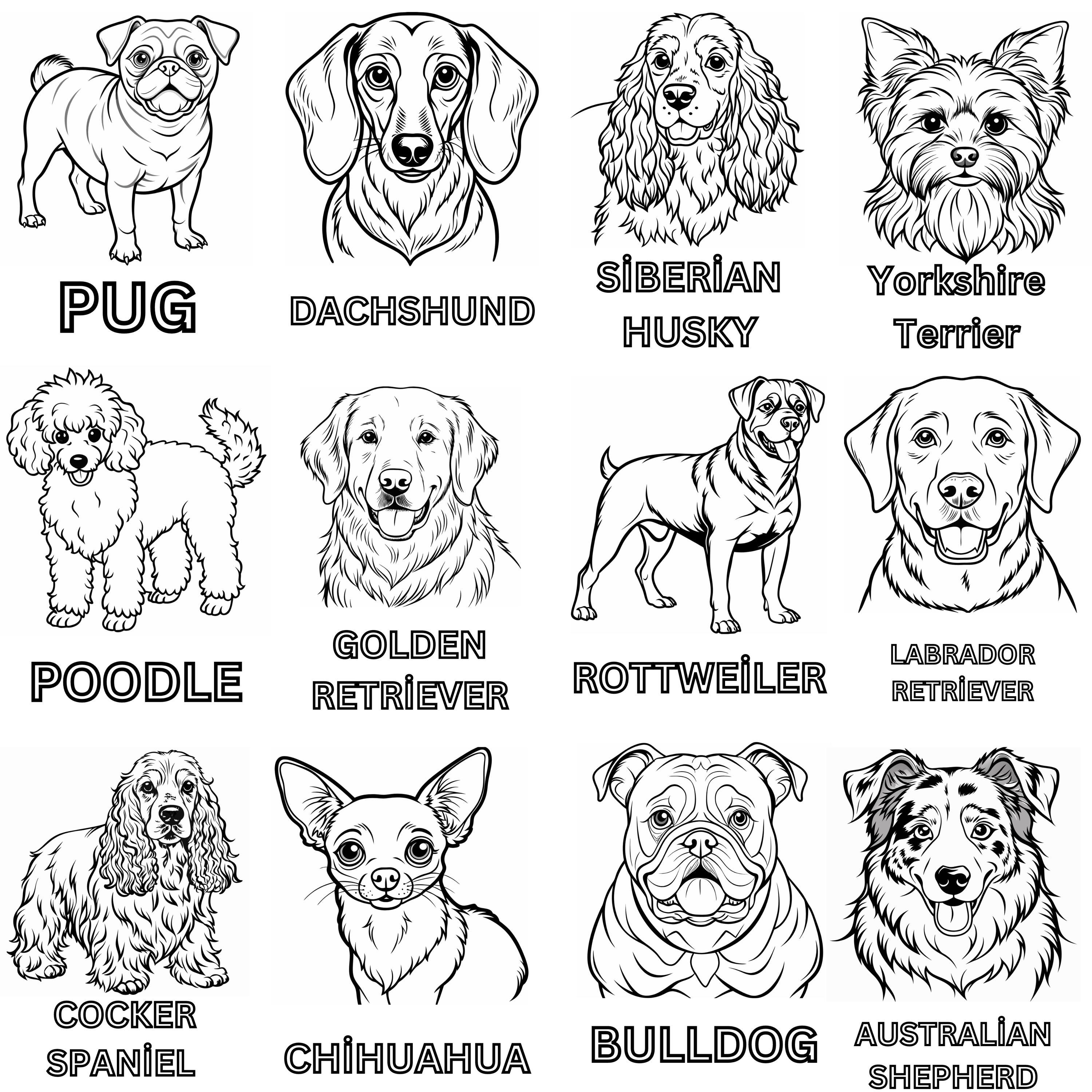 25 Breeds of Dog Coloring Pages, Dog Coloring Pages for Kids, Printable ...