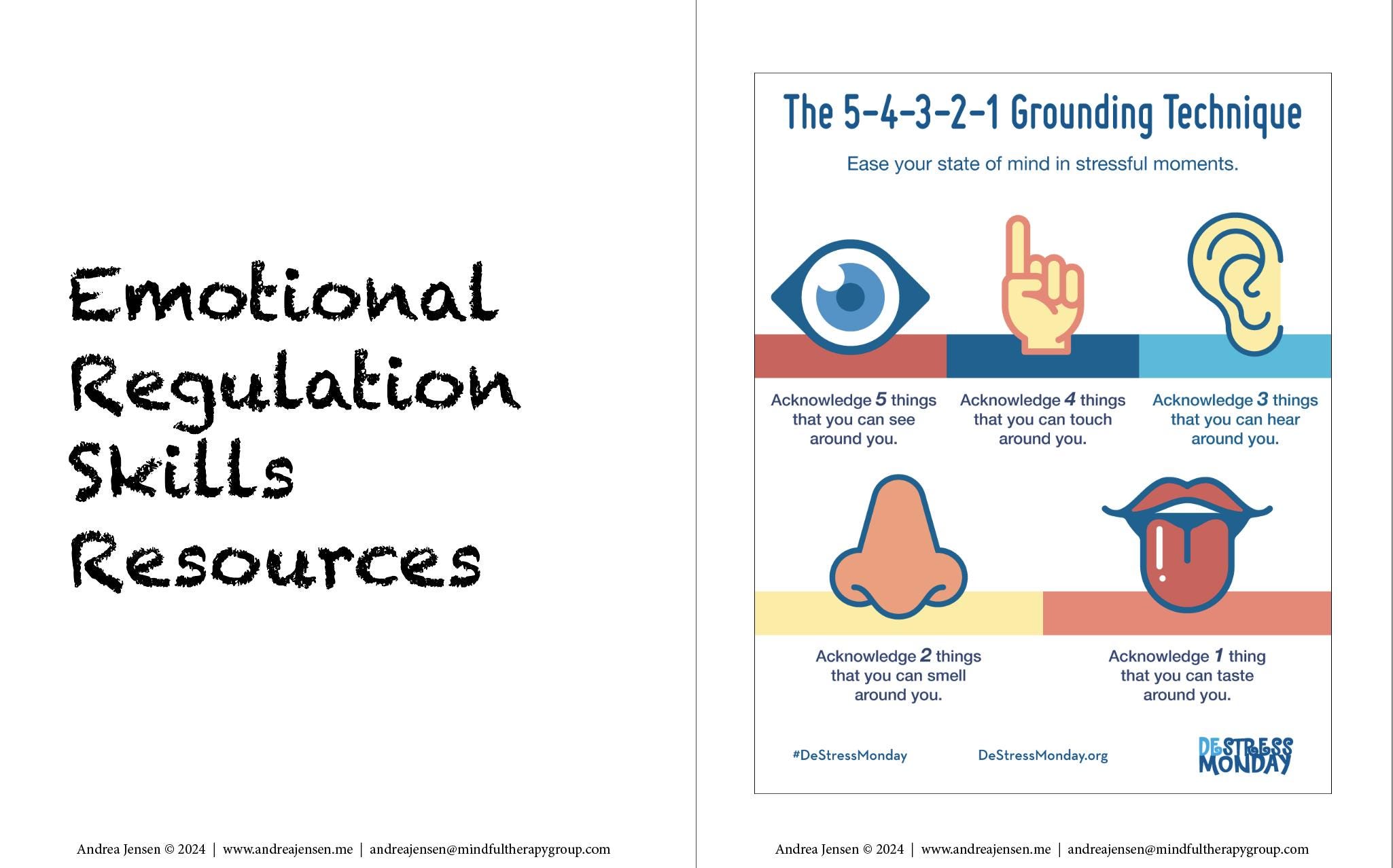 Emotional Regulation Workbook for Kids, Parents, Teachers, and ...