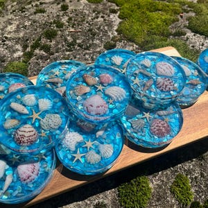 Ocean Themed Gulf Coast Shell Coasters Set of 4 - Etsy