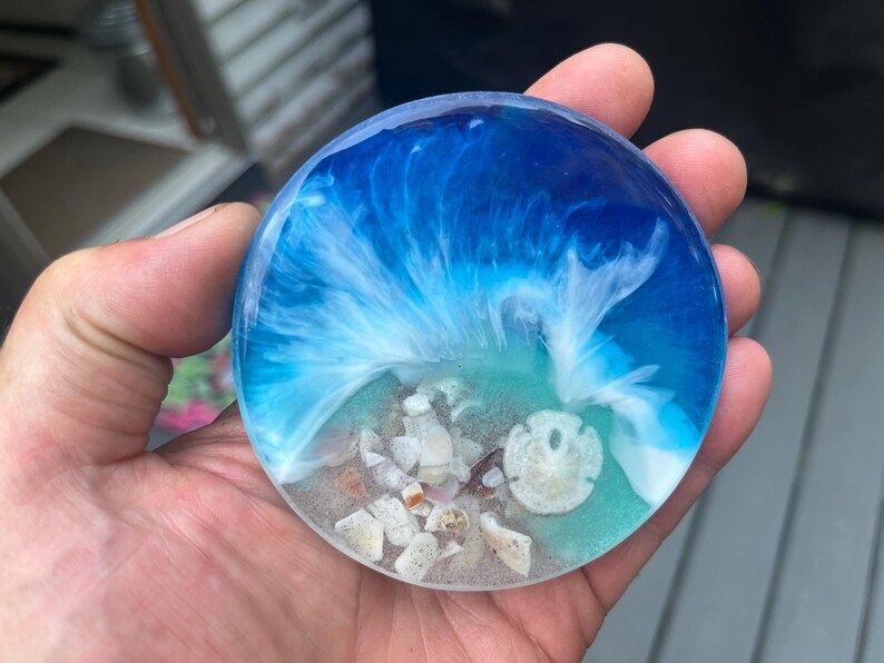 Gulf Coast Sea Shell Coasters Set of 4 - Etsy