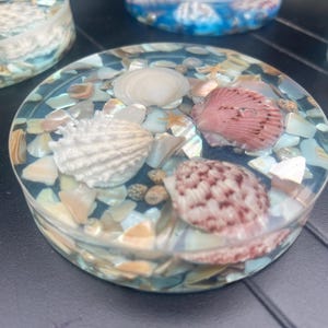 Ocean Themed Gulf Coast Shell Coasters - Set of 4 - Etsy