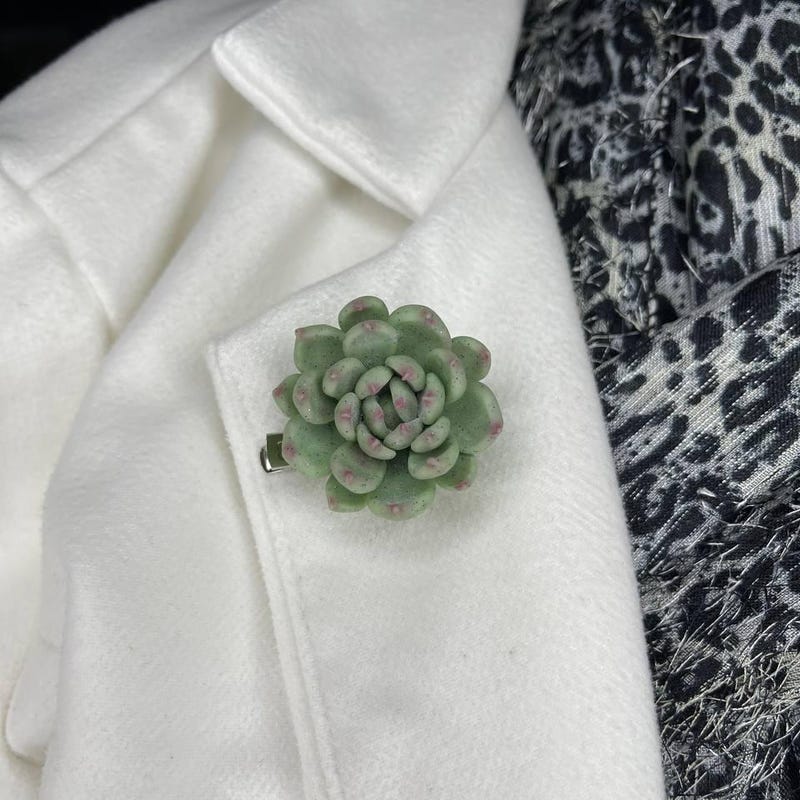 Succulent Brooch - Etsy