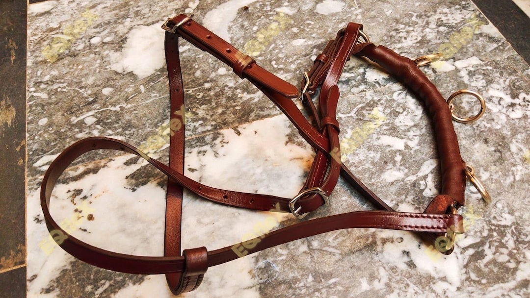 Real Leather Academic Lunging Cavesson for Bitless Riding and ...