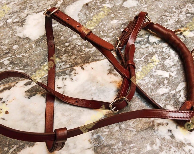 Anatomical Working Hunter Leather Bridle Cavesson Padded Cutaway ...