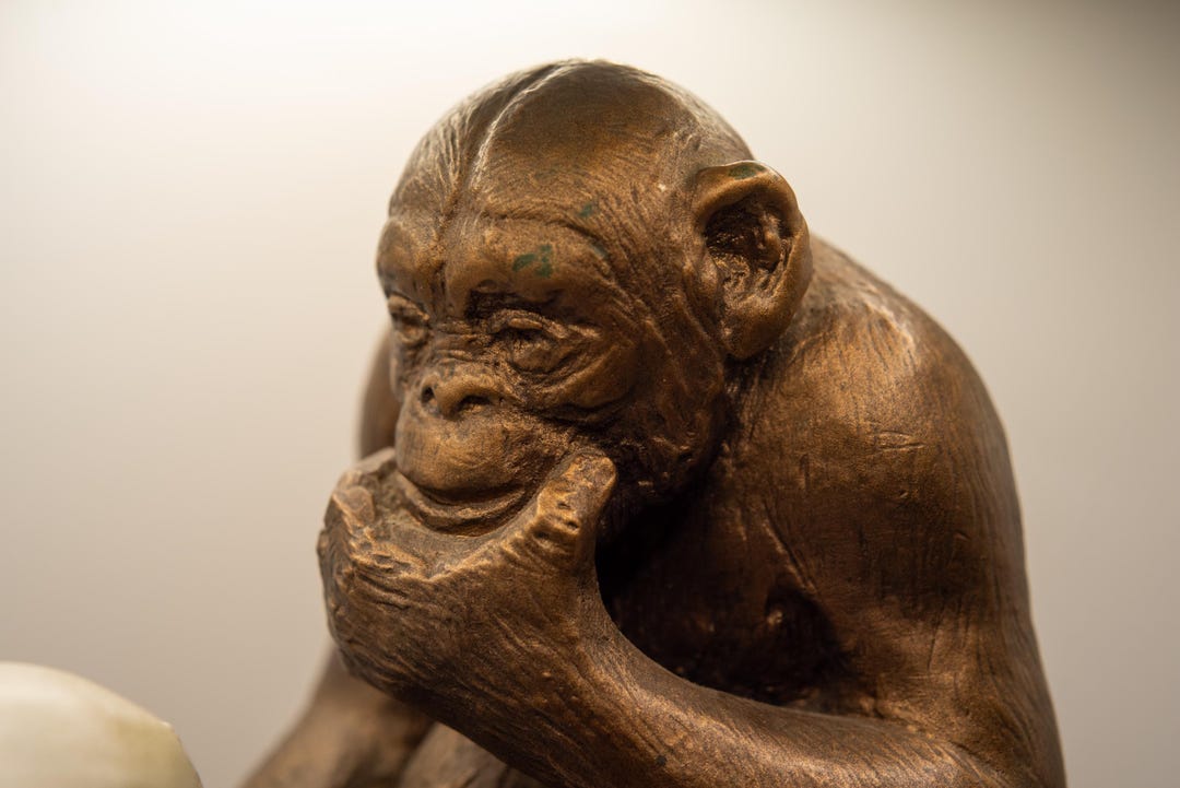 Home Decor Monkey Holding Skull Statue, the Thinker, Maximalism Decor ...