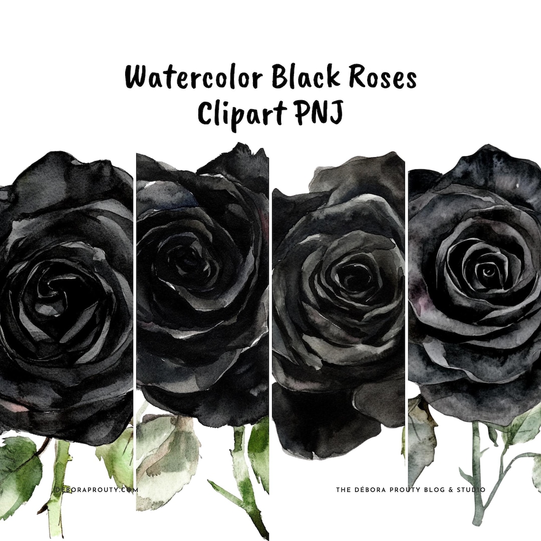 24 Black Roses Watercolor Clipart PNG Images for Digital Planners, Junk ...
