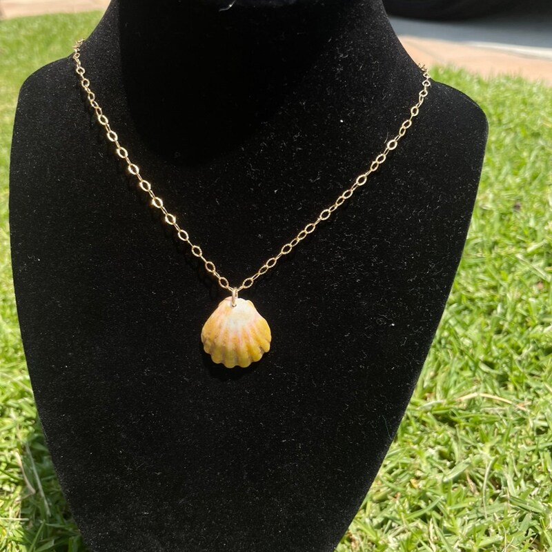 Sunrise Shell Necklace - Etsy
