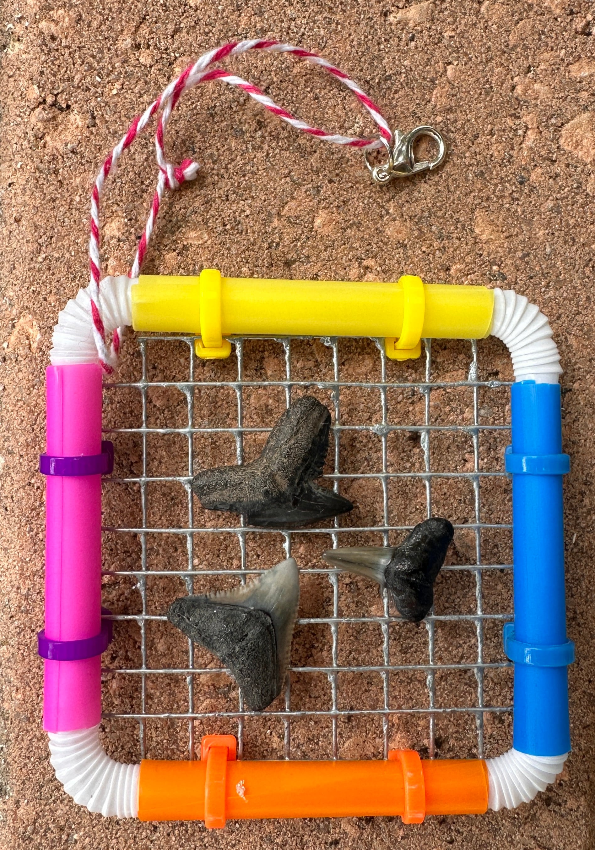 Shark Teeth Sifter Shark Tooth Sifter With Shovel Beach Sifter Shell ...