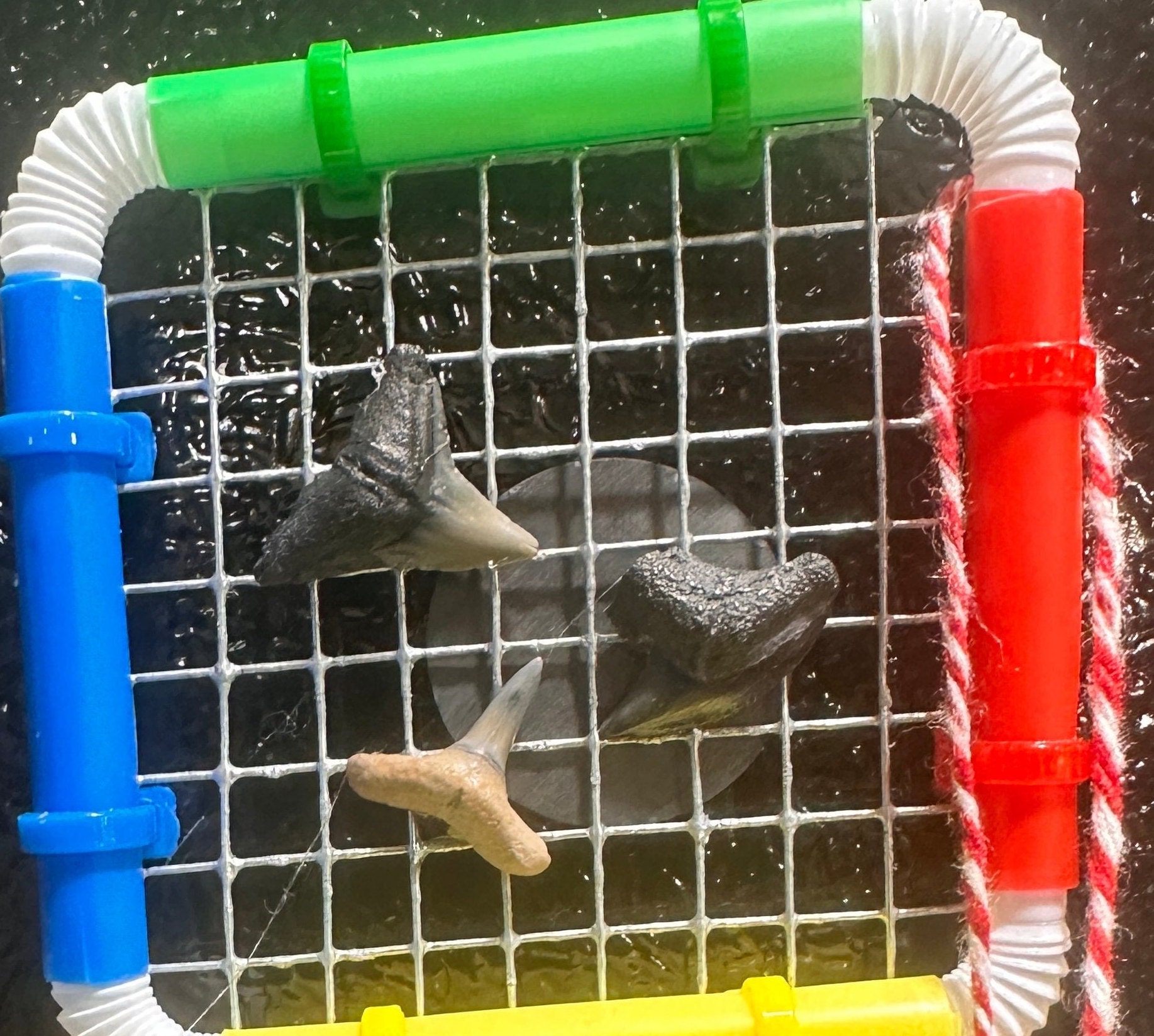 Shark Teeth Sifter Shark Tooth Sifter With Shovel Beach Sifter Shell ...