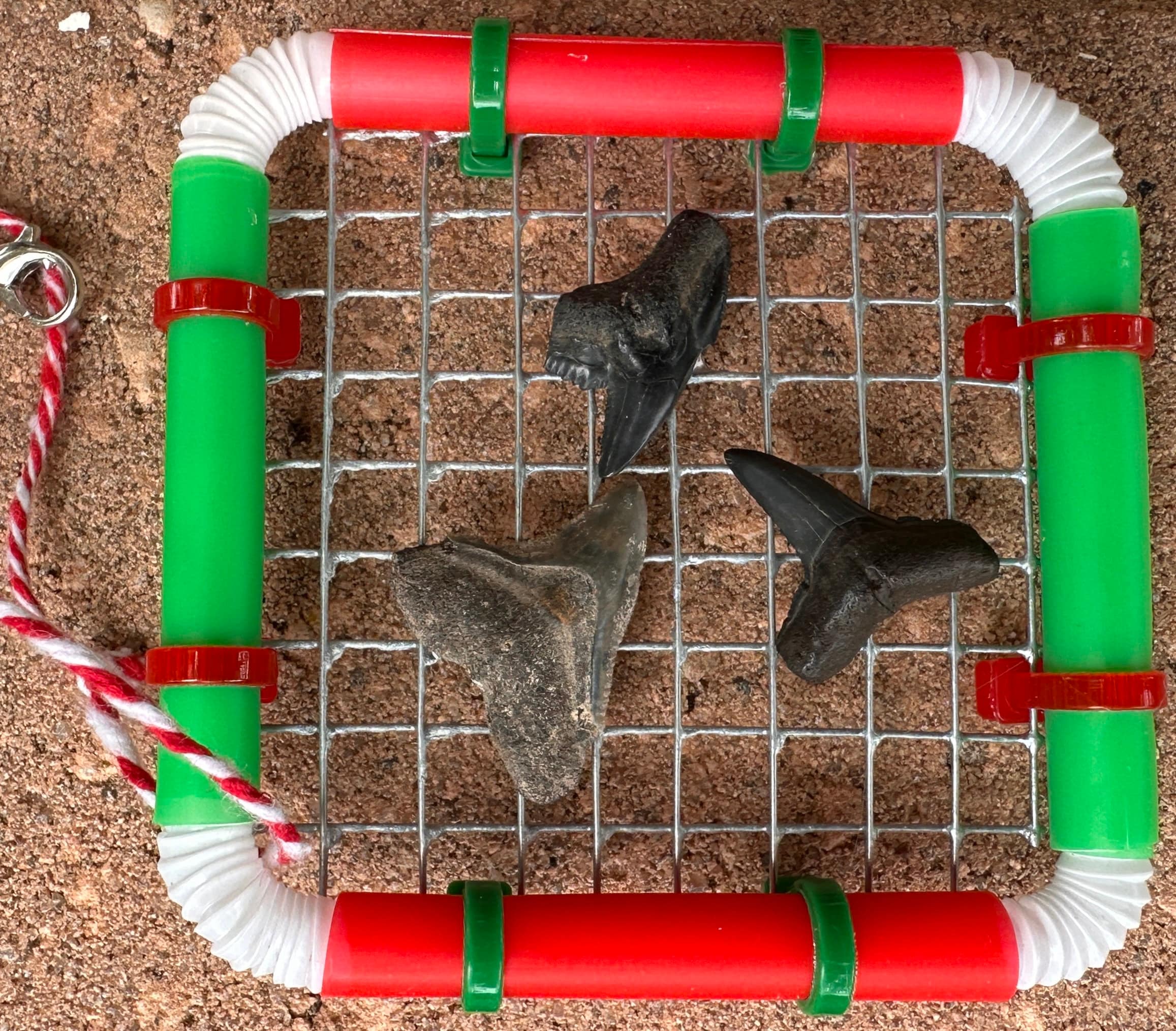 Shark Teeth Sifter Shark Tooth Sifter With Shovel Beach Sifter Shell ...