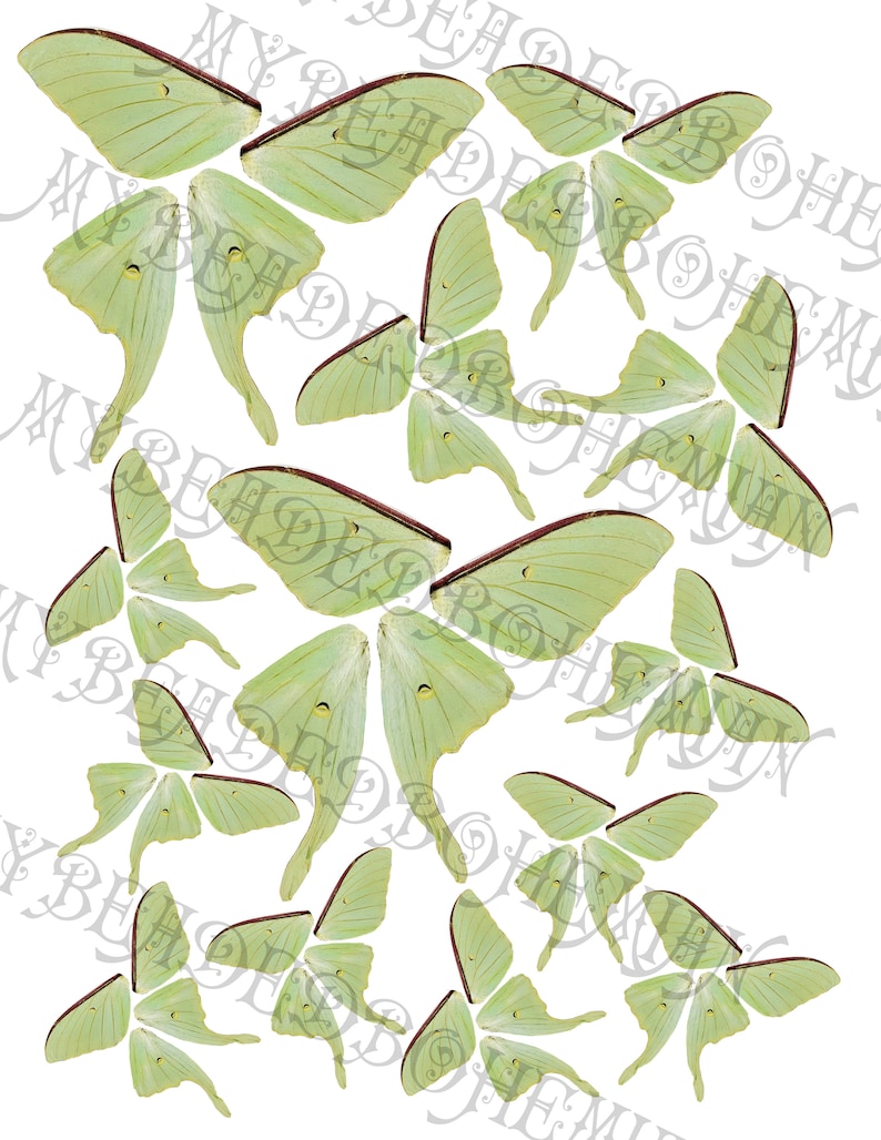 Luna Moth Wings, Digital Download for Fairy Wing Crafters, Jewelry ...