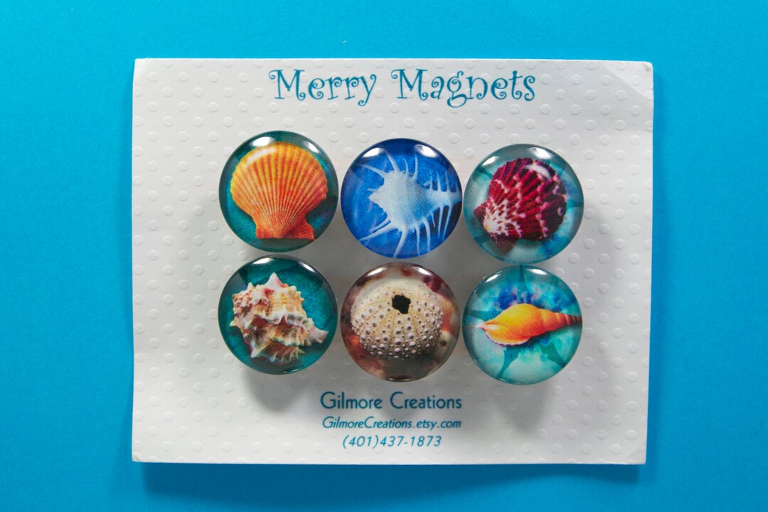 Set of Glass Fridge Magnets Sea Shell Designs - Etsy