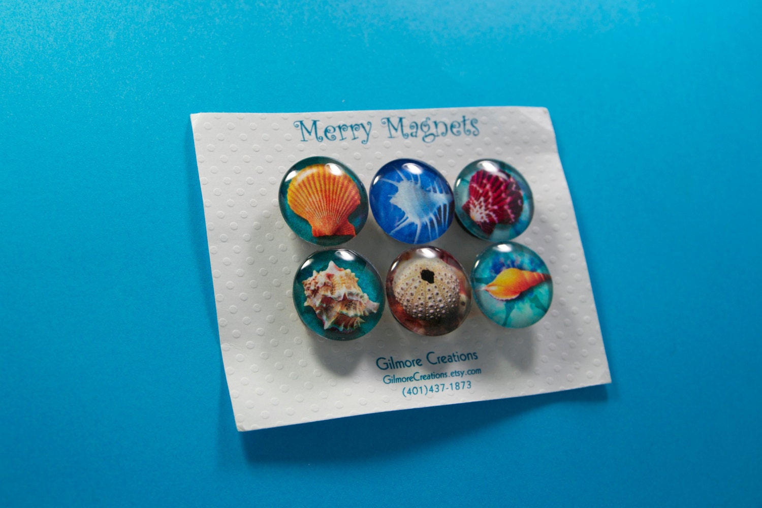 Set of Glass Fridge Magnets Sea Shell Designs - Etsy