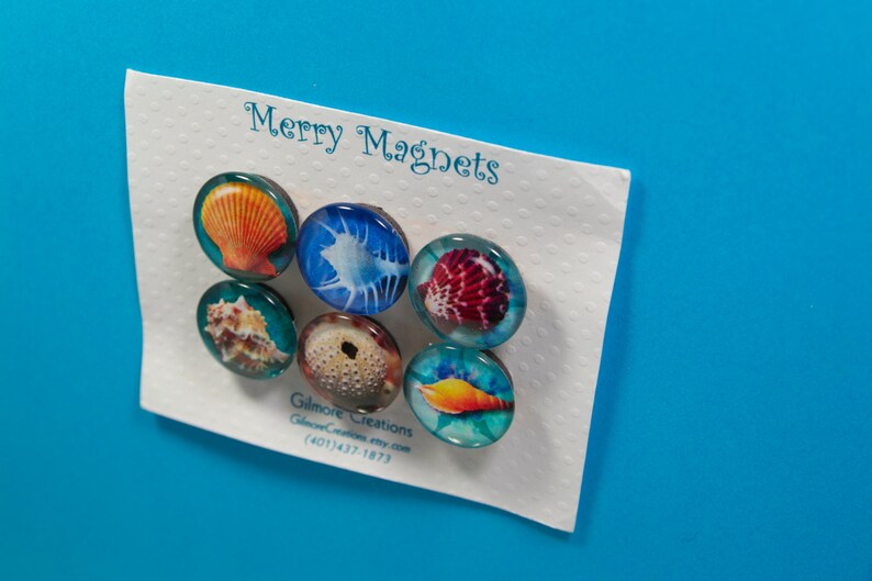 Set of Glass Fridge Magnets Sea Shell Designs | Etsy