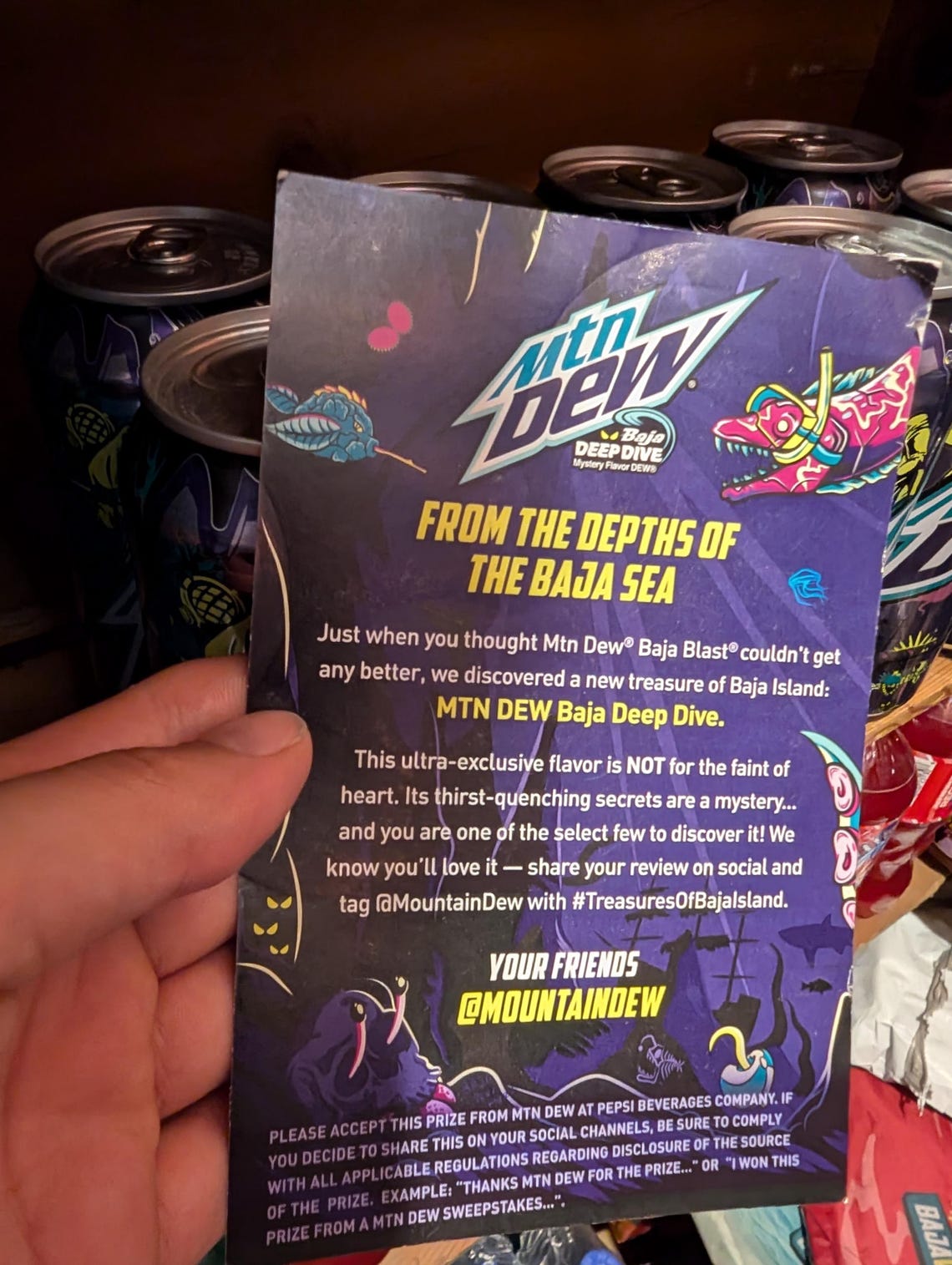 2022 MTN Mountain Dew Baja Deep Dive - Etsy