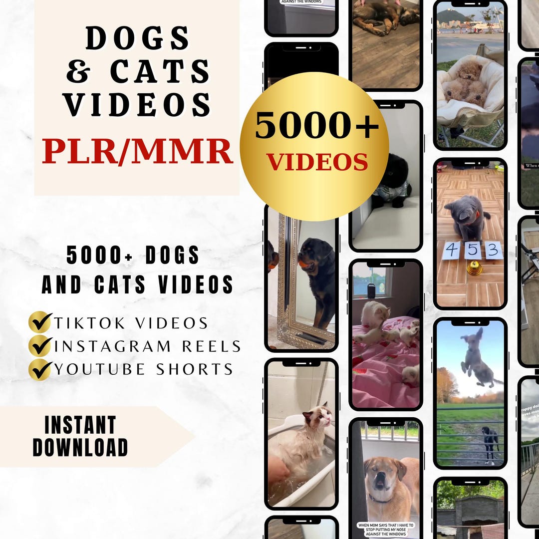 PLR/MMR 5000 Cat Dogs Bundle, Cat Dogs Videos, Animals Video, Cat Dogs Reels, Cat Video, Dog ...