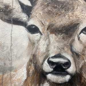 Abstract Stag Oil Painting on Canvas, Large Original Hand Painted Stag ...