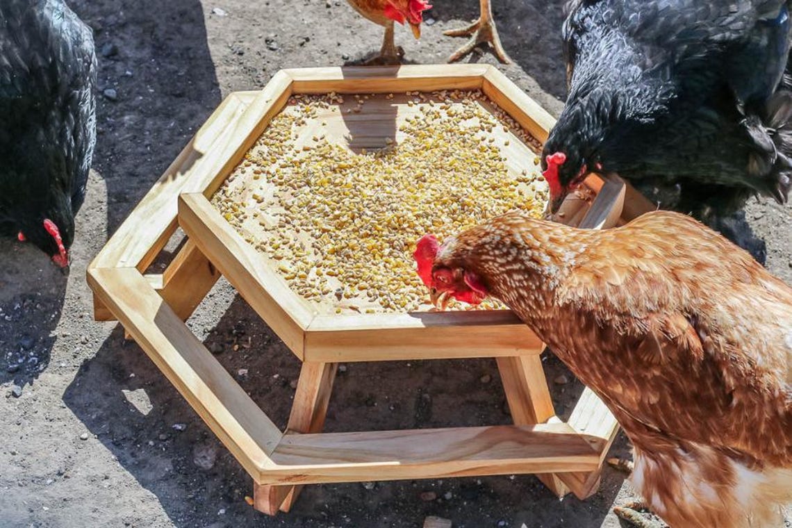 DIY Chicken Feeder , Farmhouse Chicken Feeder, Woodworking Chicken ...