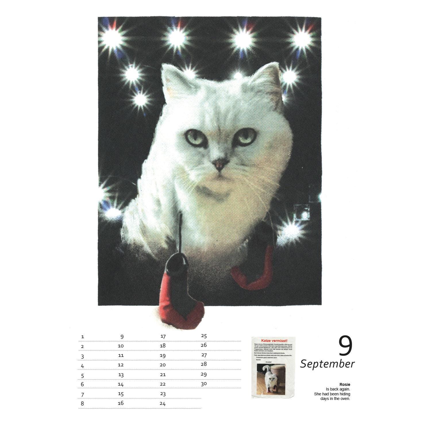 Perpetual Calendar - Stray - A4 Calendar - Etsy