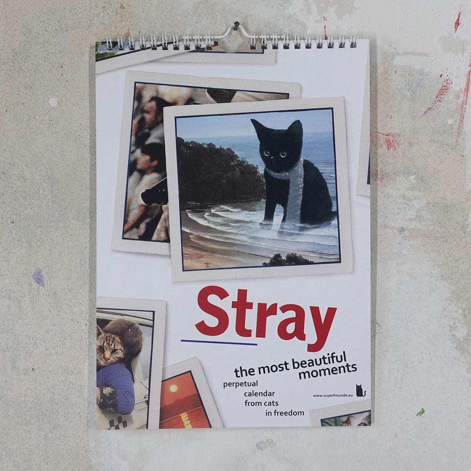 Perpetual Calendar - Stray - A4 Calendar - Etsy
