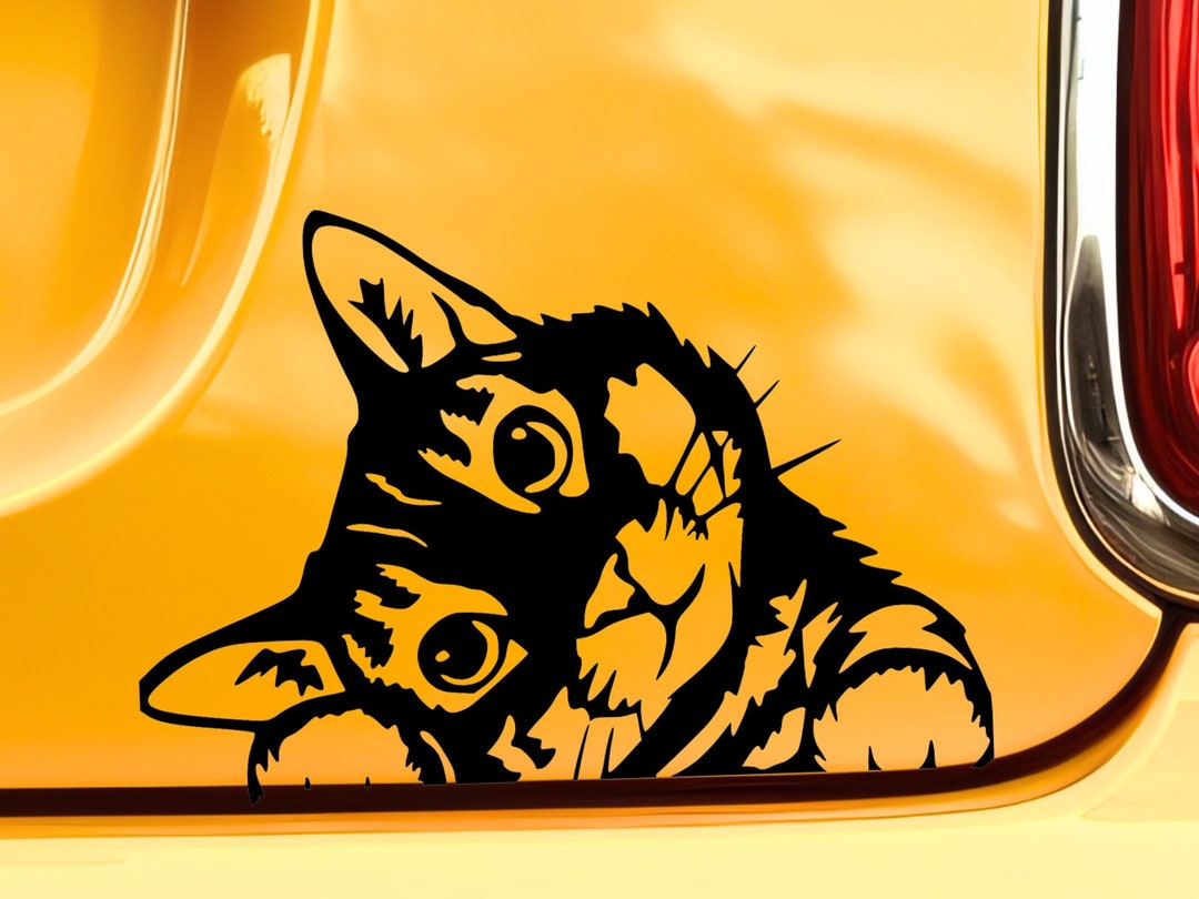 Peeker Sticker - Peeking Cat Stickers and Decals for Car Decals for ...