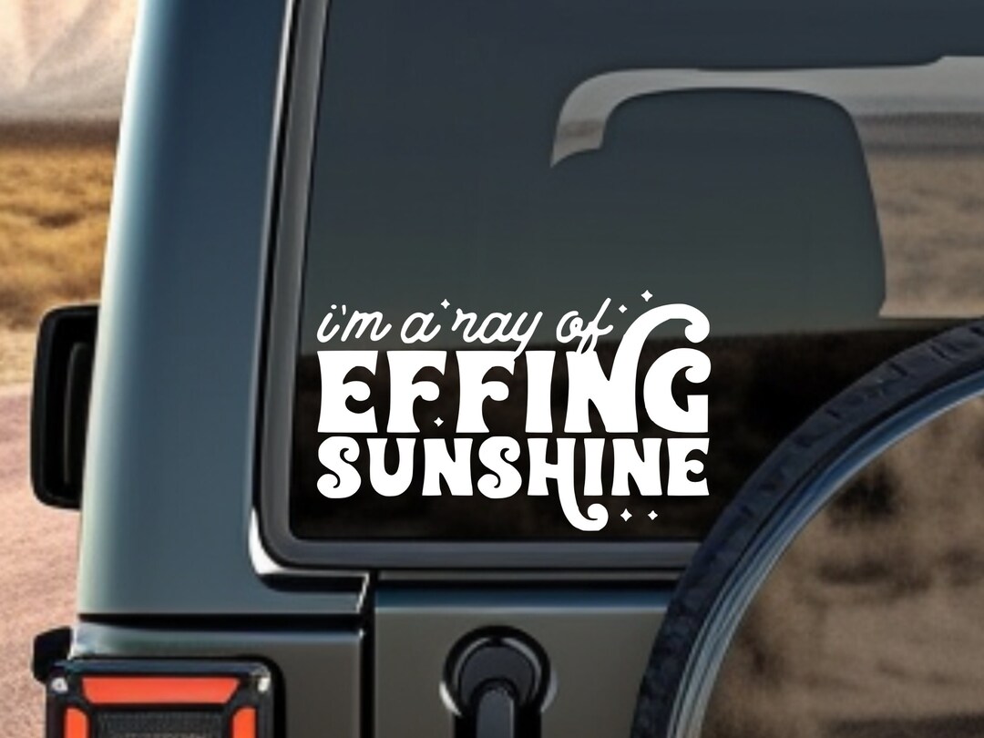 Ray of Sunshine Sticker Vinyl Decals for Car Tumbler Sarcastic Stickers ...