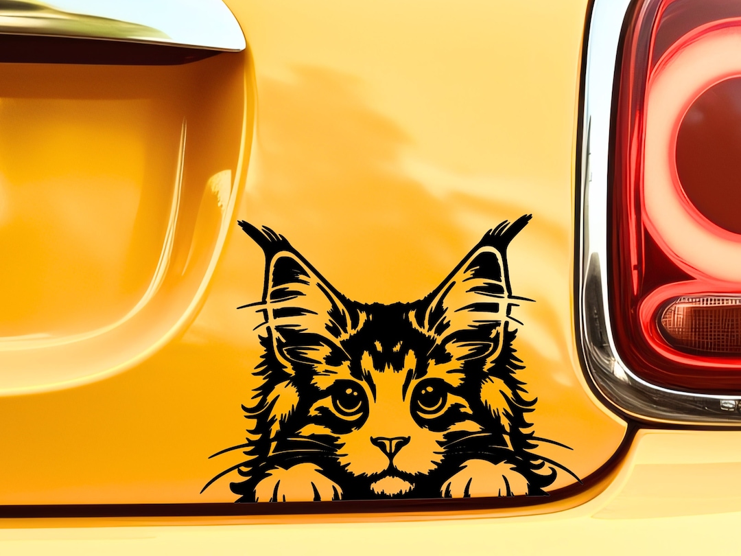 Peeker Sticker - Peeking Cat Stickers and Decals for Car Decals for ...