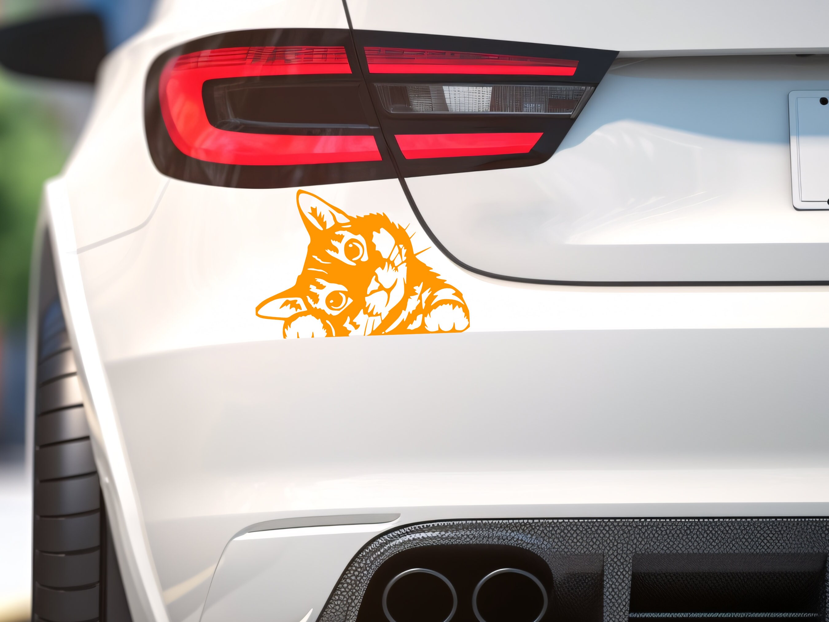 Peeker Sticker Peeking Cat Stickers and Decals for Car Decals for ...