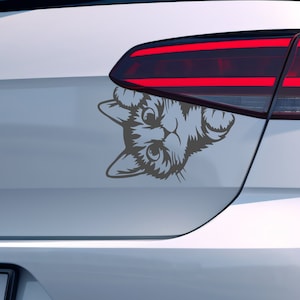 Cat Peeker Sticker - Vinyl Decal Peeking Stickers Cat Decals Car Decal ...