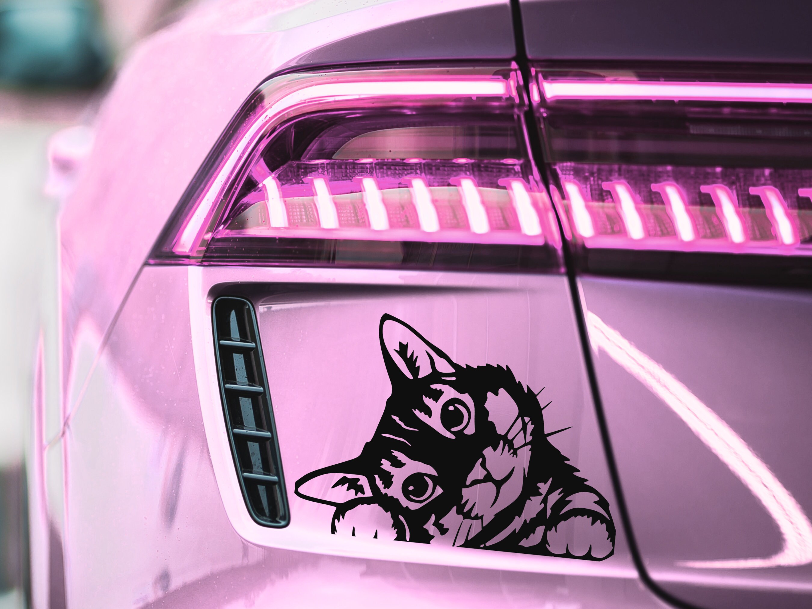 Peeker Sticker Peeking Cat Stickers and Decals for Car Decals for ...